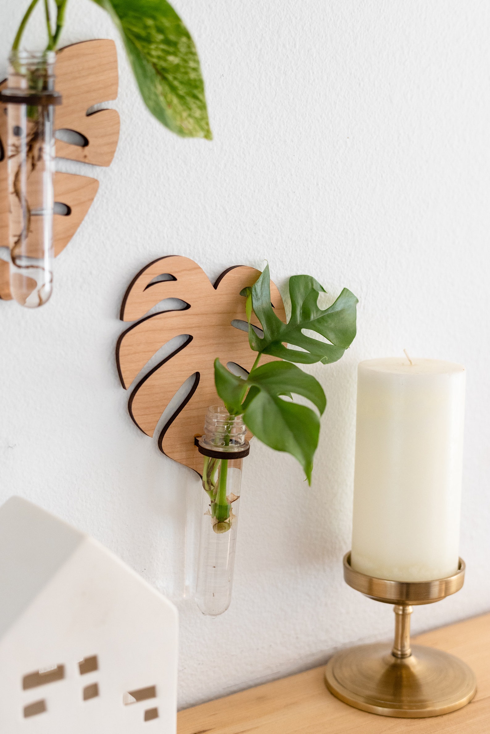 Leaf Hanging Propagation Test Tube Station Monstera Leaf | Etsy