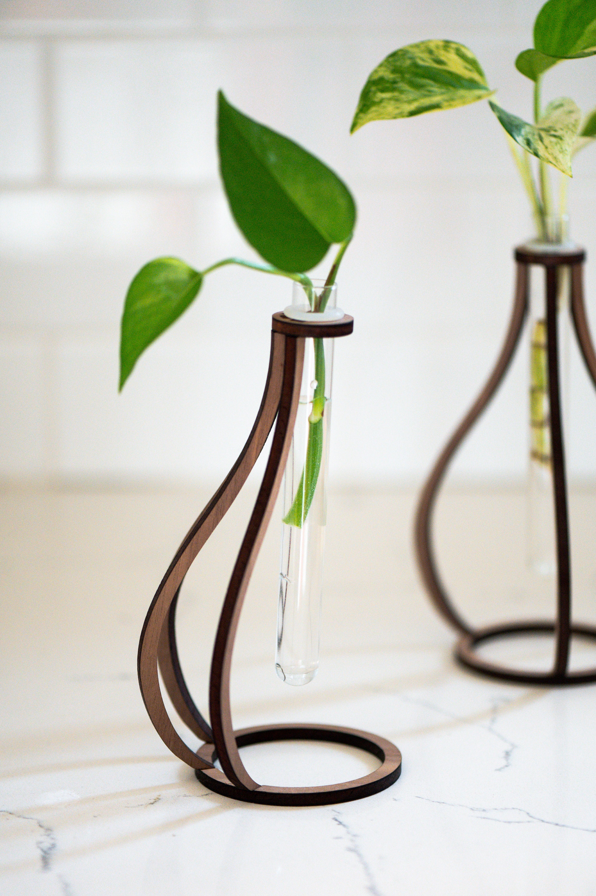 KIT: Minimalist Propagation Test Tube Station Kit Wood - Etsy