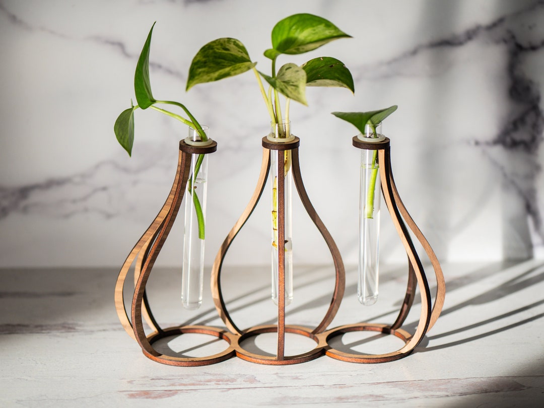 KIT: Minimalist Propagation Test Tube Station Kit, Wood Propagation ...