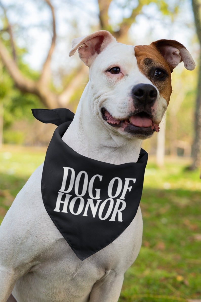 Wedding Engagement Dog of Honor Pet Bridal Party Bundle 6 SVG & PNG ...