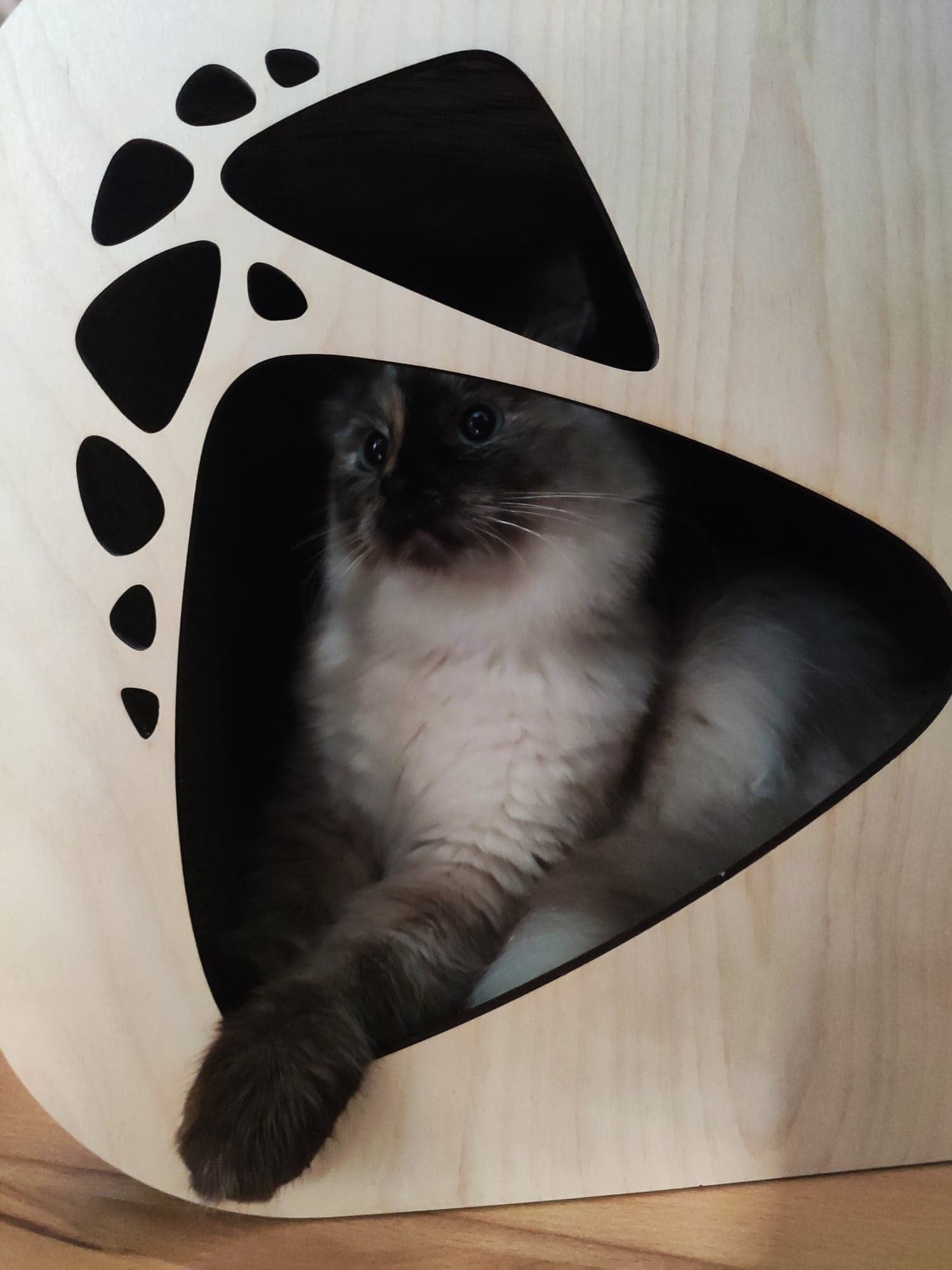 A Modern Cat House With a Scratching Post Made of - Etsy