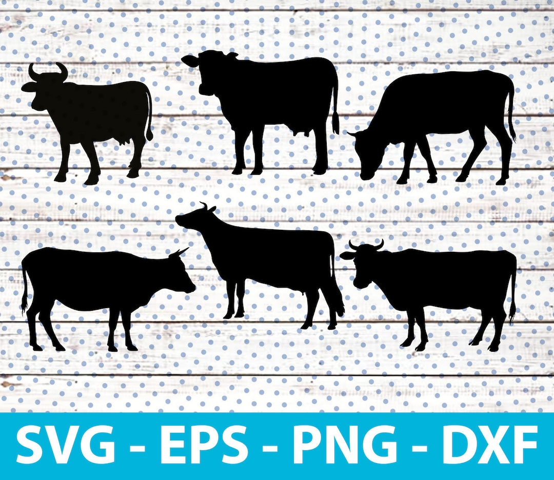 Cow SVG Bundle - Etsy
