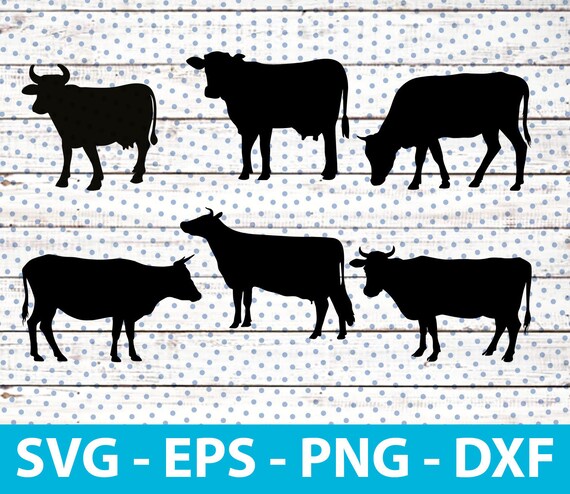 Cow SVG bundle | Etsy