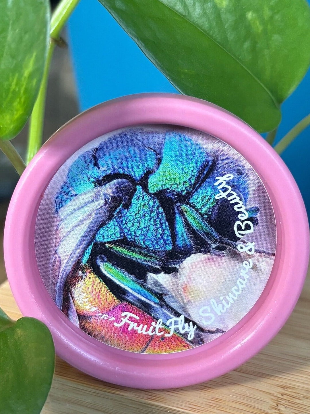 Natural nopal Cactus Face & Eye Toner Gel - Etsy