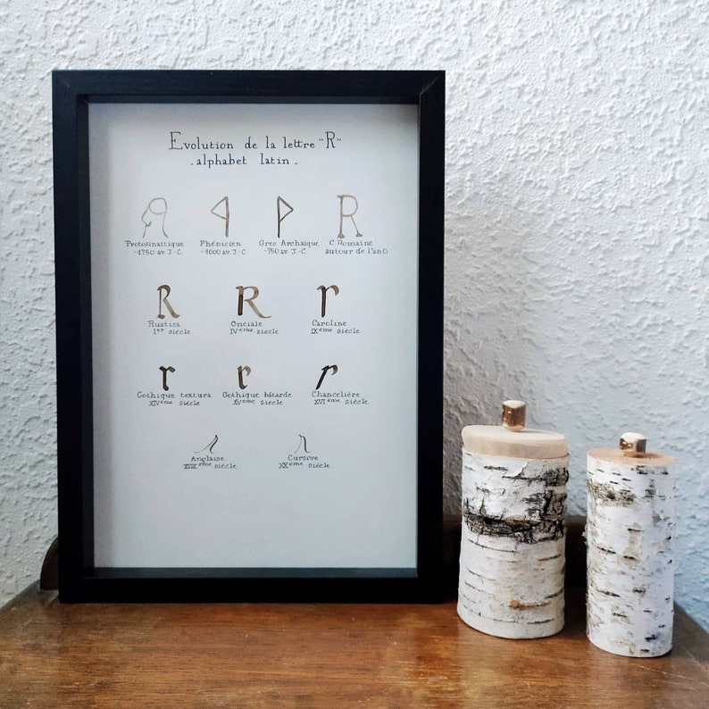 Latin Alphabet Evolution Poster – Educational Poster Letters A to Z ...