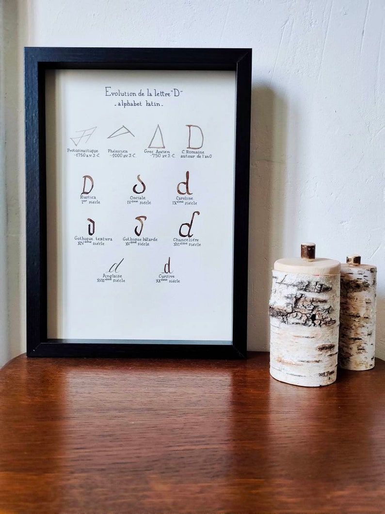 Latin Alphabet Evolution Poster – Educational Poster Letters A to Z ...