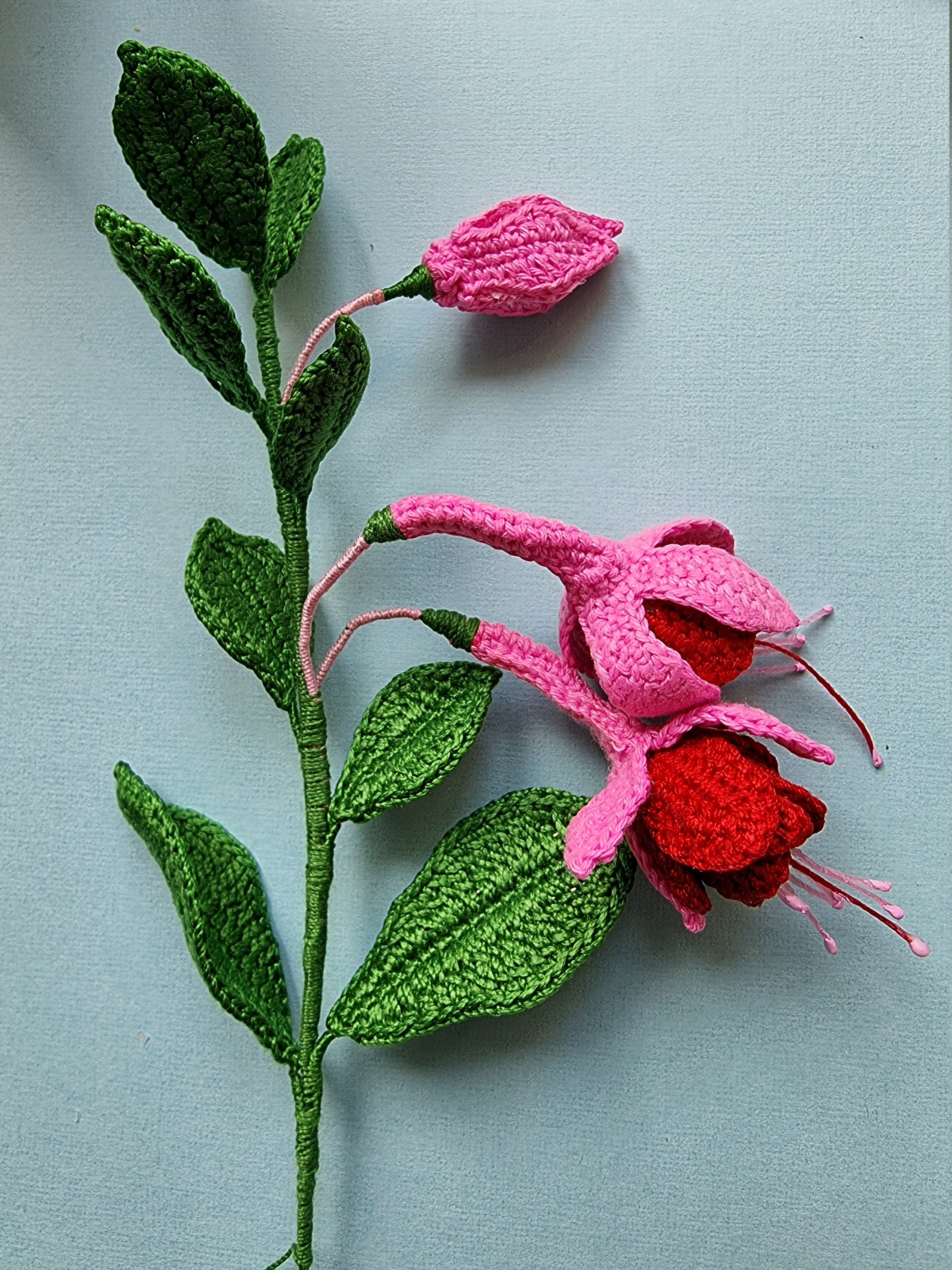 Crochet Pattern Fuchsia - Etsy