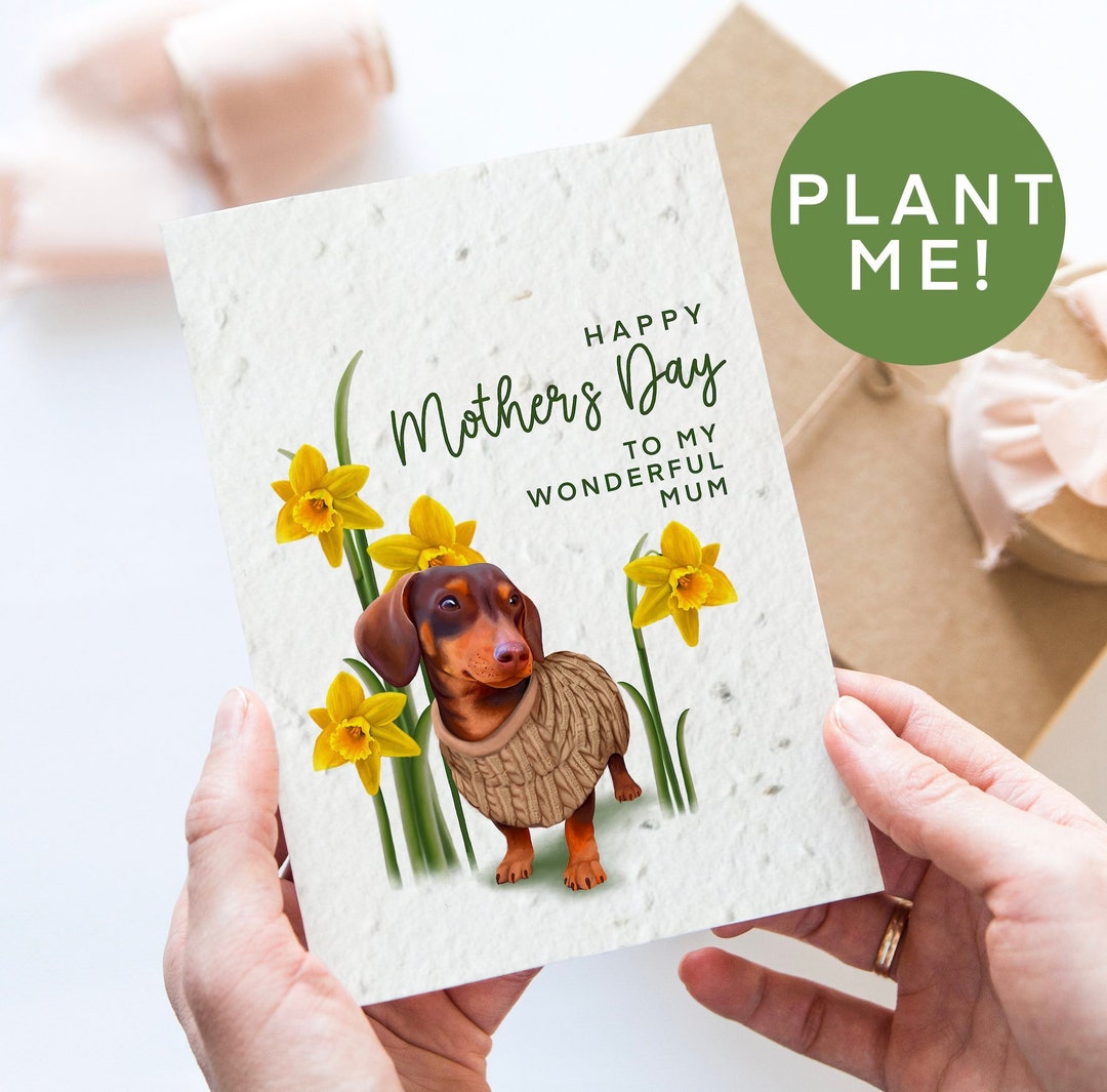 Plantable Mothers Day Card Card for Mum Dachshund Card - Etsy UK
