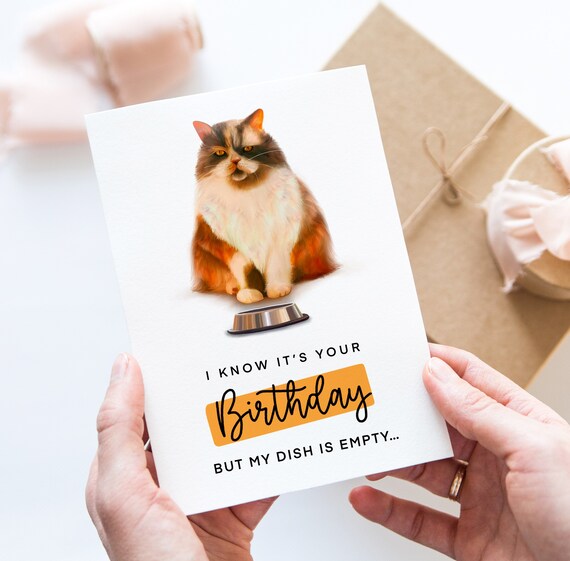 Happy Birthday Fat Cat Funny