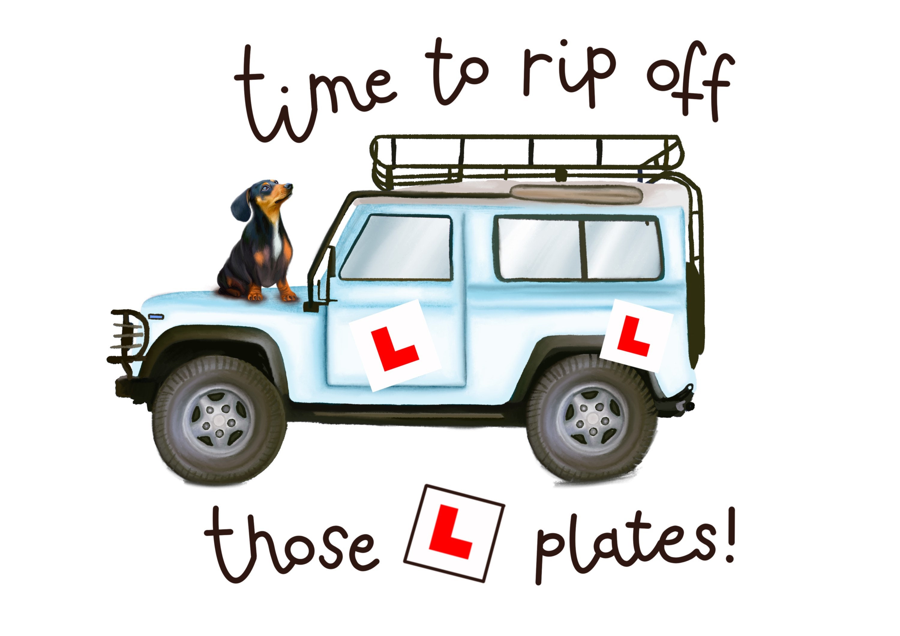 Youve Passed PASSED Your DRIVING TEST Rip off Those L - Etsy