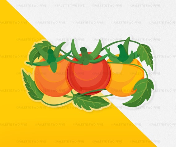Tomato Sticker Sun Gold Tomato Sticker Garden Sticker Plant - Etsy