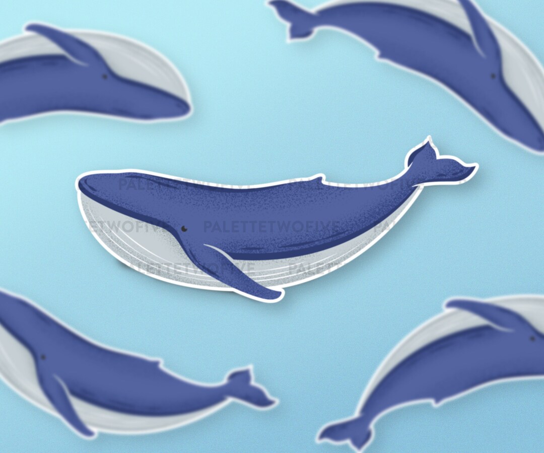 Whale Sticker, Whale Decal, Blue Whale Sticker, Gray Whale Sticker Wall ...