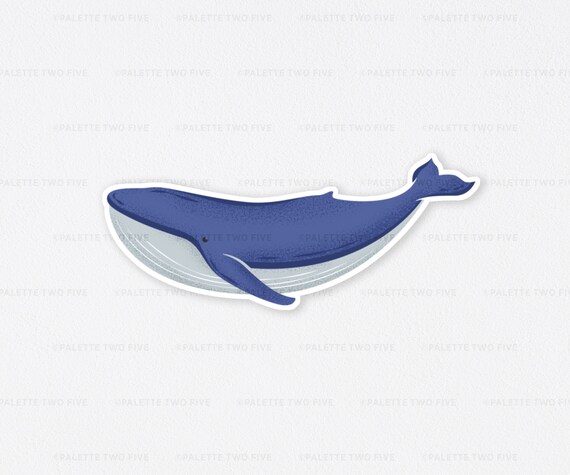 Whale Sticker Whale Decal Blue Whale Sticker Gray Whale - Etsy