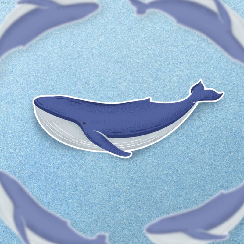 Whale Sticker - Etsy