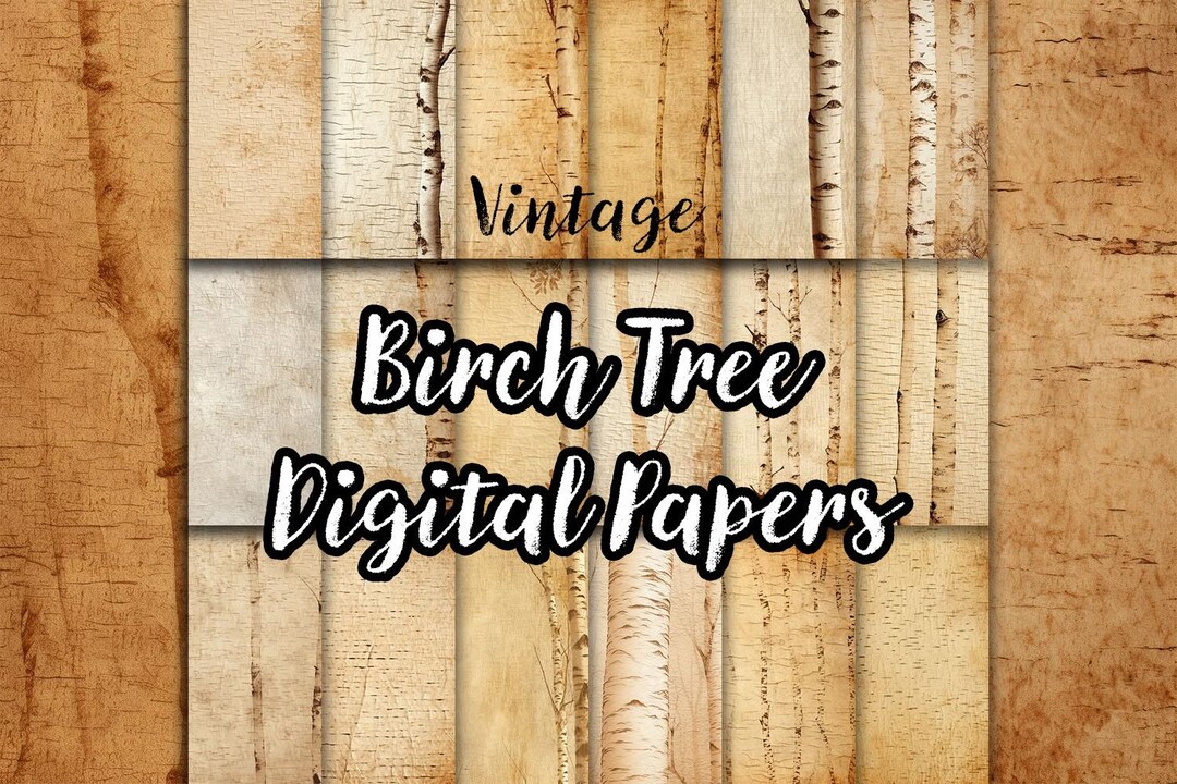 Vintage Birch Tree Digital Papers JPG, Bark Textures, Wood Backgrounds ...