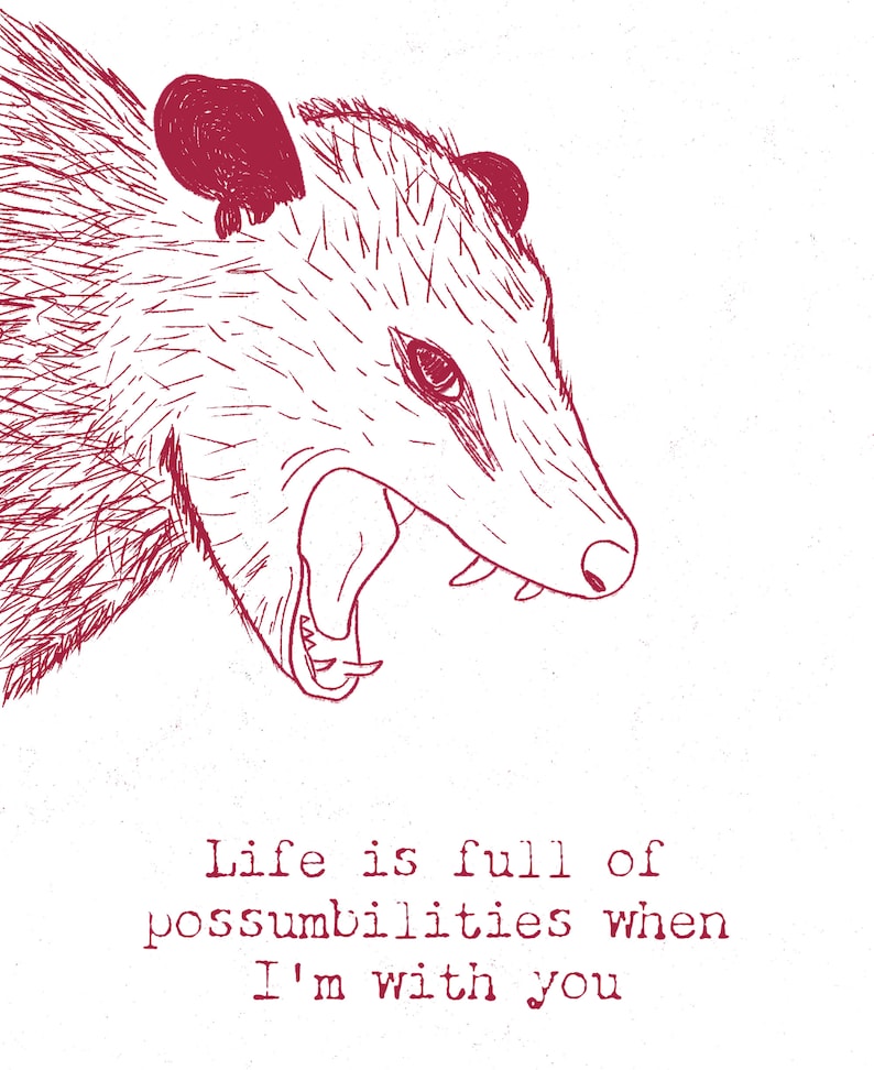 Opossum Card Possum Drawing Valentine's Day Gift Anniversary Birthday Gift Greeting Card Blank ...