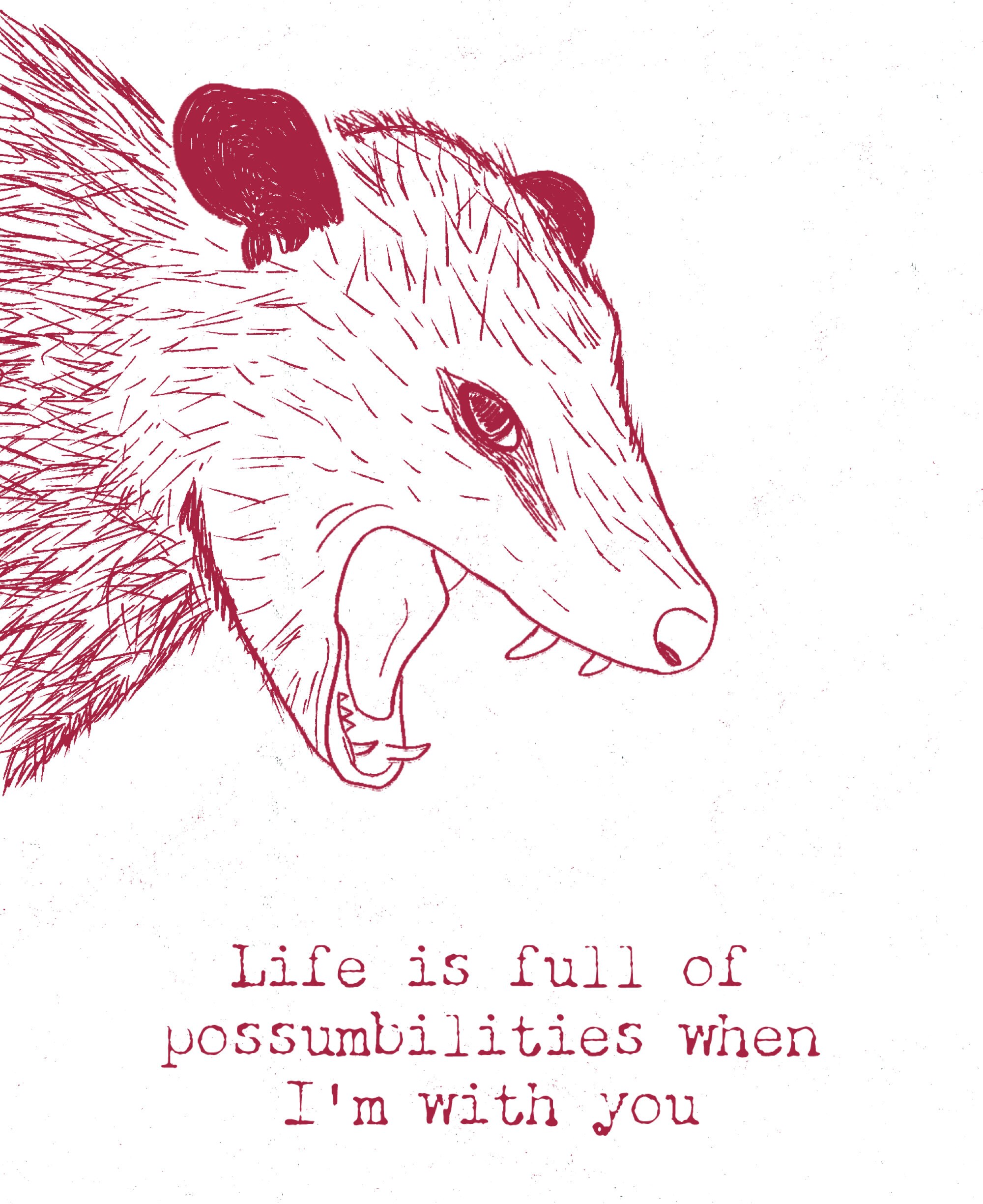 Opossum Card Possum Drawing Valentine's Day Gift Anniversary Birthday Gift Greeting Card Blank ...