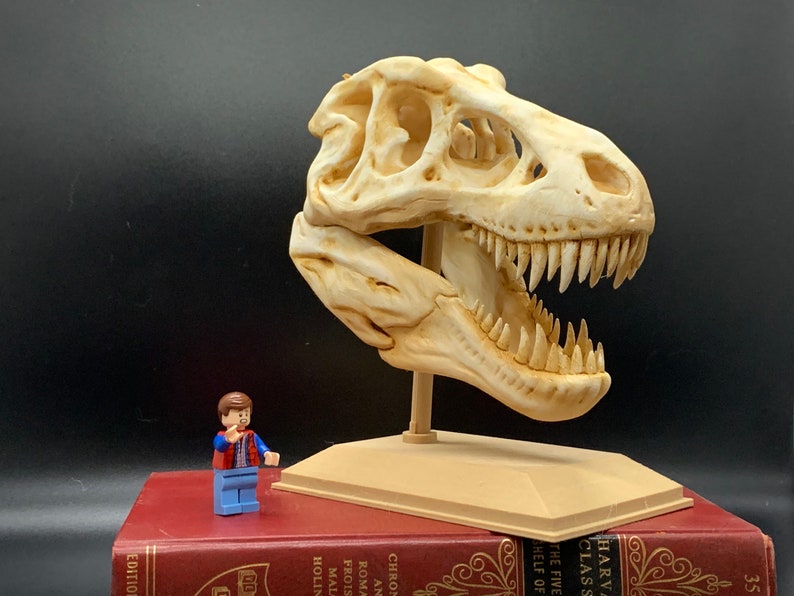 Tyrannosaurus Rex Skull Replica T-rex Skull Trex Skull - Etsy