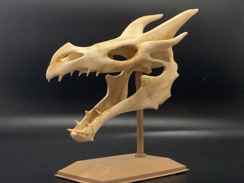 Skyrim Dragon Skull Hand Painted Replica on Stand - Etsy