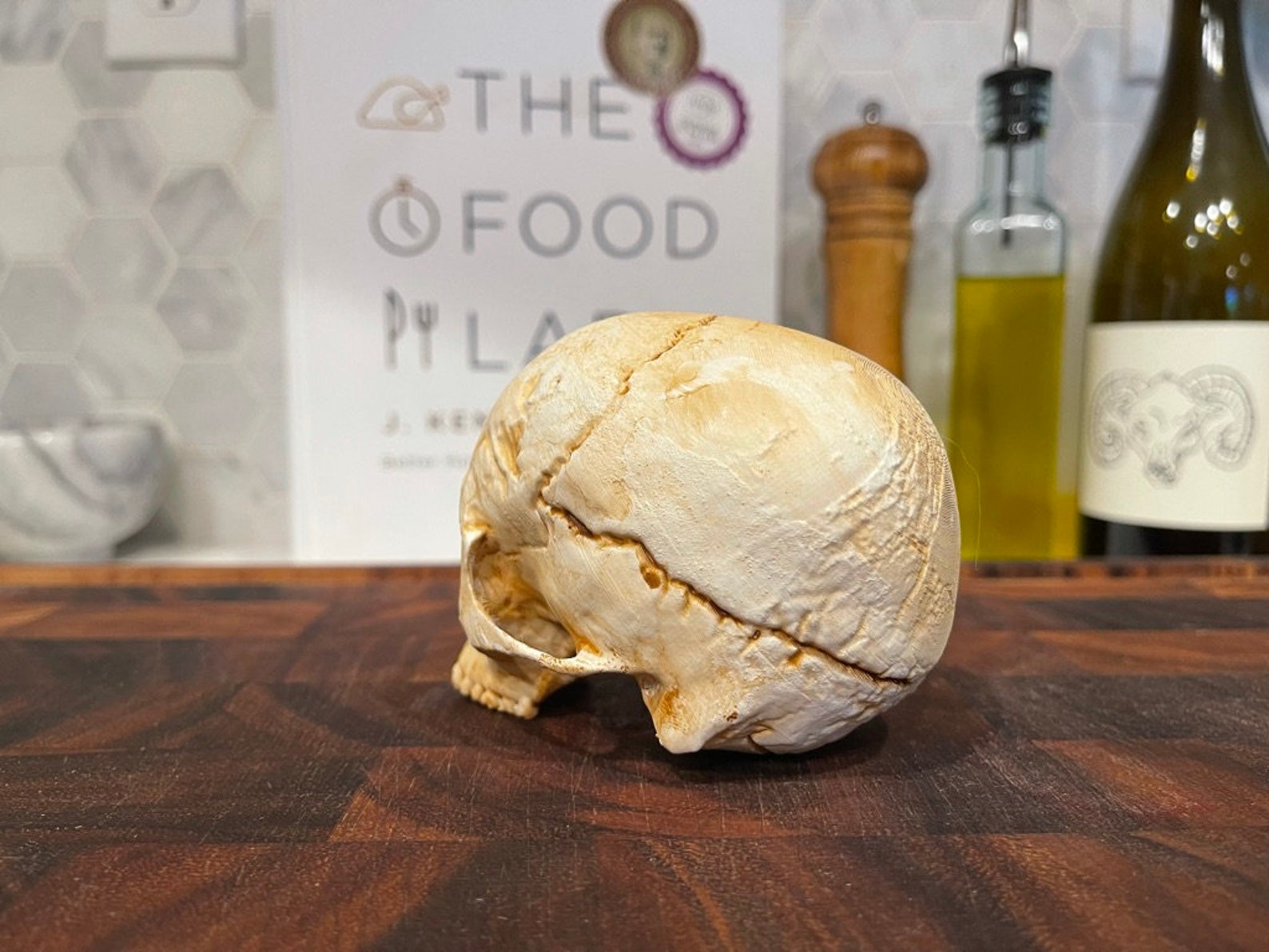 Human Skull Replica Skull Art Bone Art Skull Decoration - Etsy