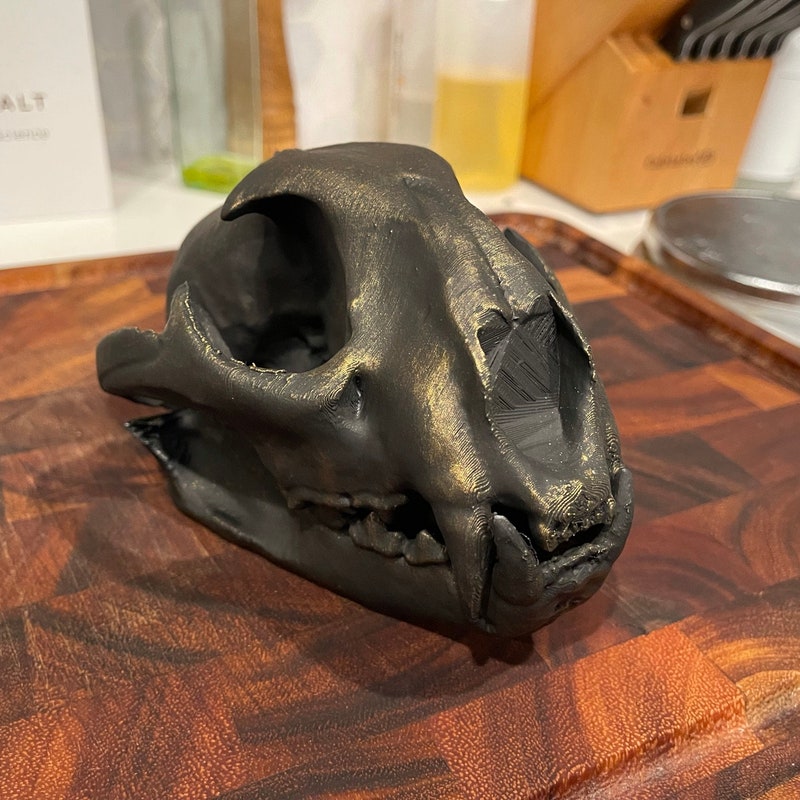 Skull Decor - Etsy