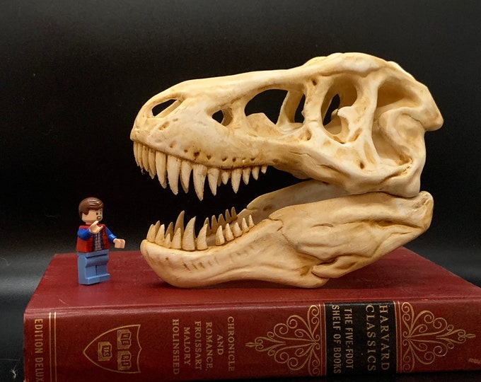 Tyrannosaurus Rex Skull Replica, T-rex Skull, Trex Skull, Skull Decor ...