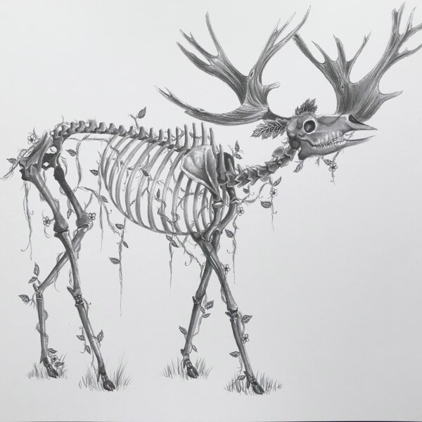 Skeleton Art - Etsy Canada