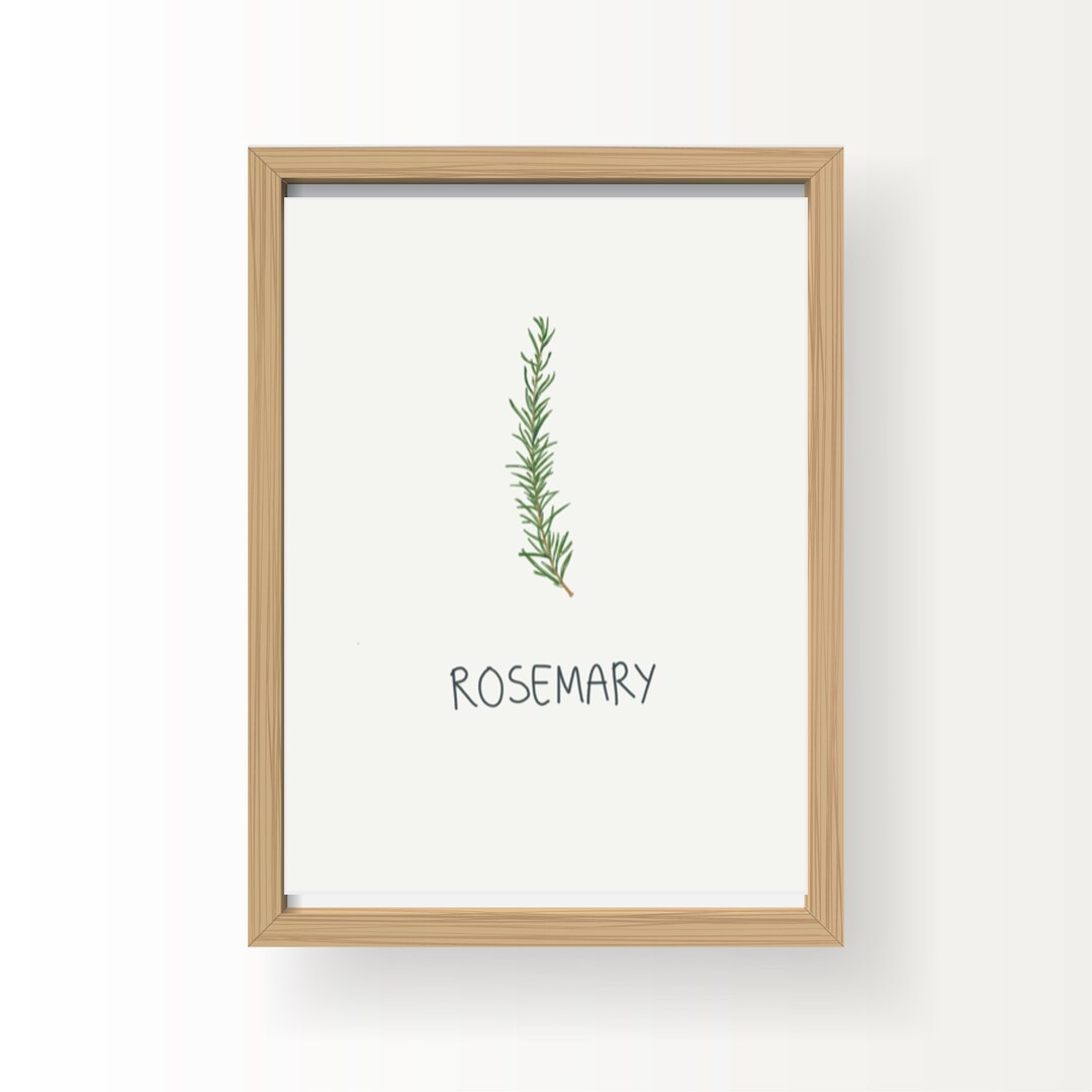 Rosemary Herb Artwork Print | Kitchen Artwork and Decor | Downloadable ...