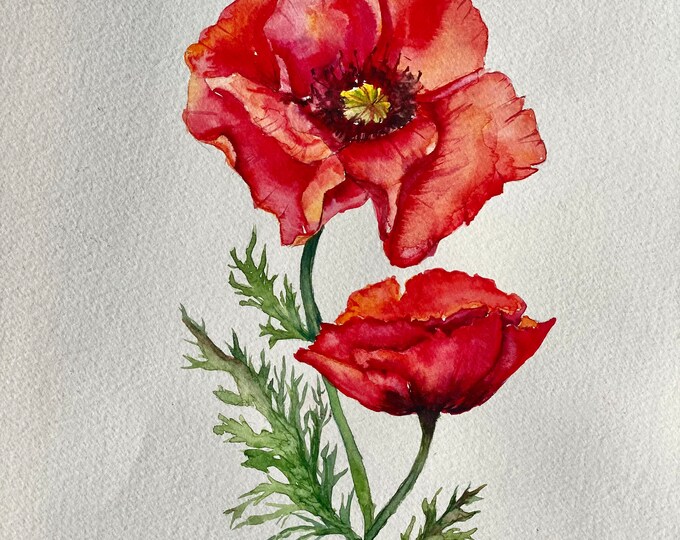 Red Poppy Flowers, Original Watercolour Floral Painting, 11x14 Inches ...