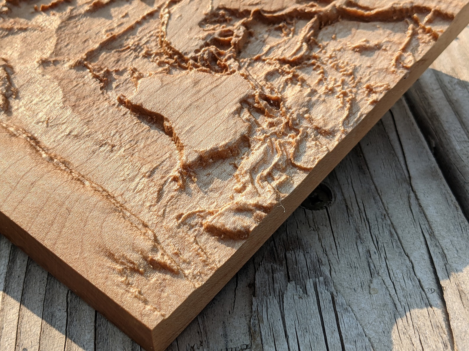 Earth Wooden Relief 3D Map World Elevation Map Topographic Map of Earth ...