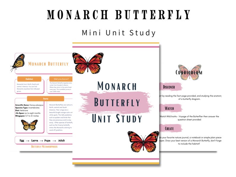 Monarch Butterfly Mini Unit Study - Etsy