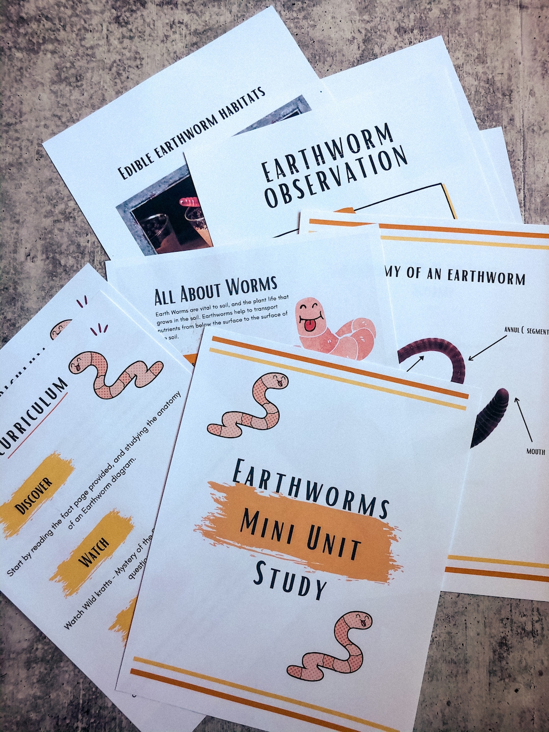 No Prep! Earth Worm Mini Unit Study - Etsy