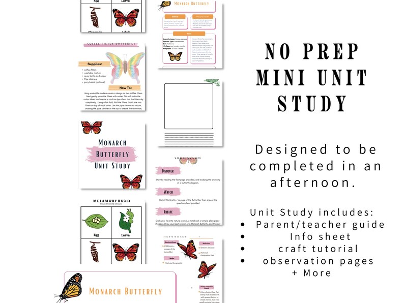 Monarch Butterfly Mini Unit Study - Etsy