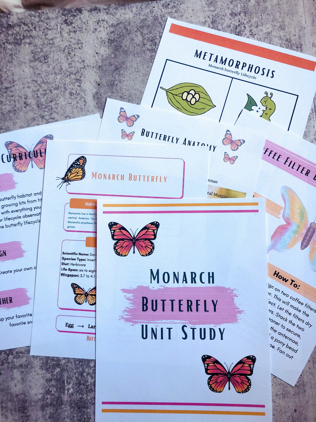 Monarch Butterfly Mini Unit Study - Etsy