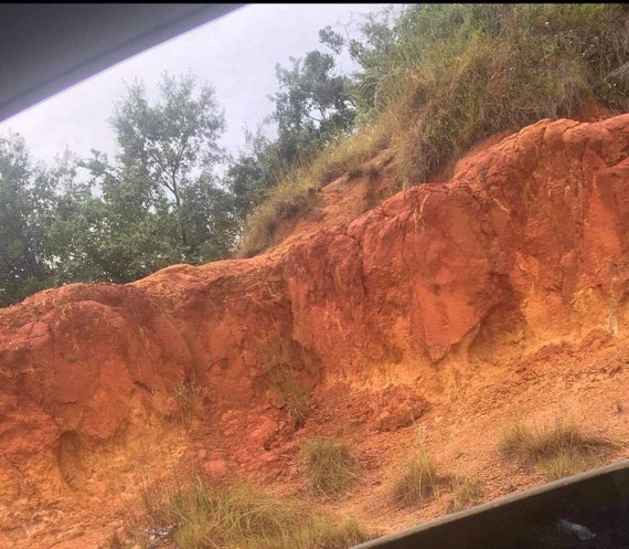 bordillo Popular Dejar abajo tierra de arcilla roja cubrir Tortuga despierta