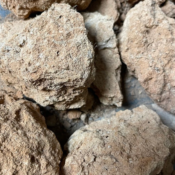 Mississippi Edible Dirt - Etsy