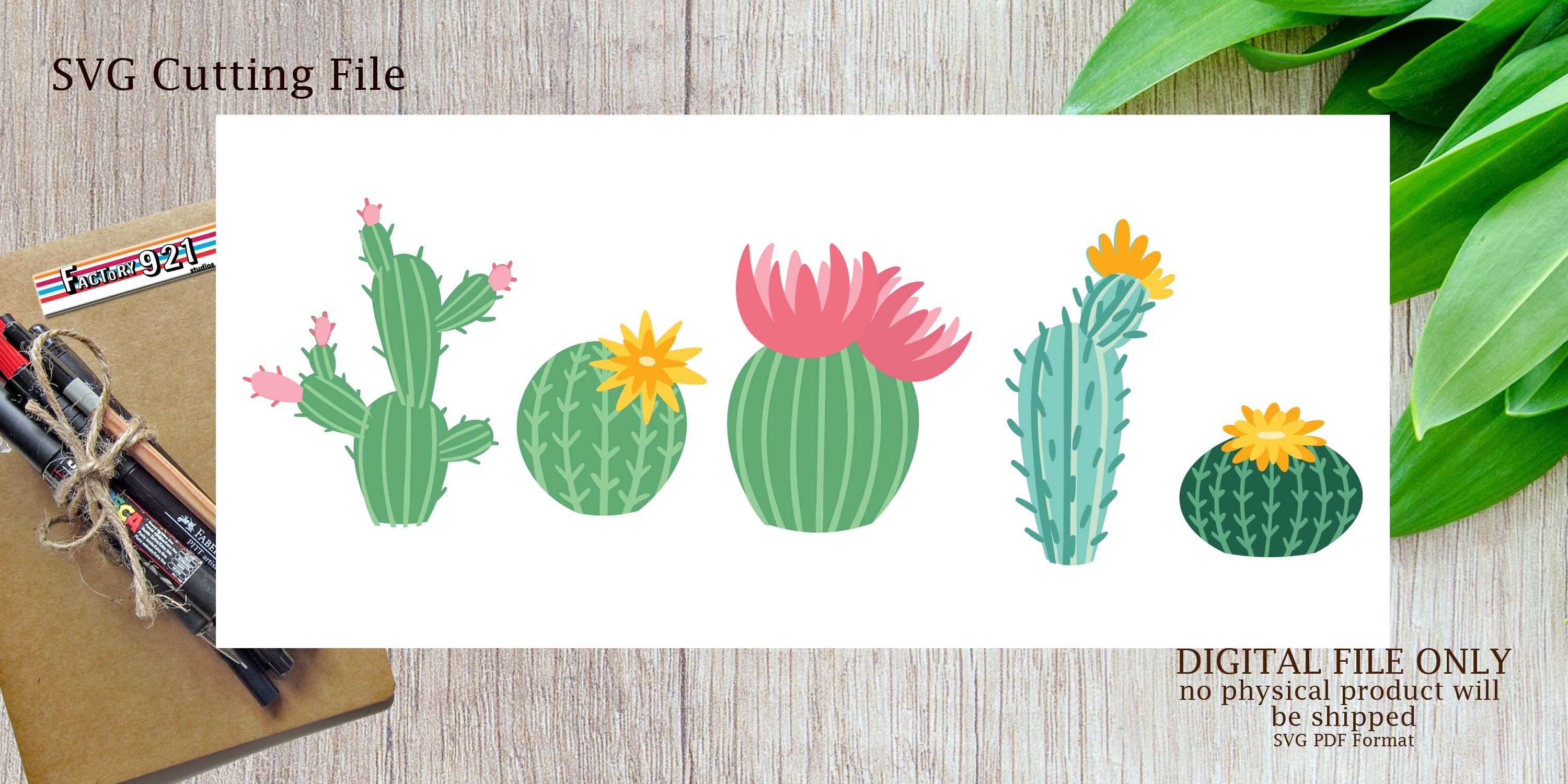 Cactus Svg/plants Vector/succulents SVG, Houseplant Vector - Etsy