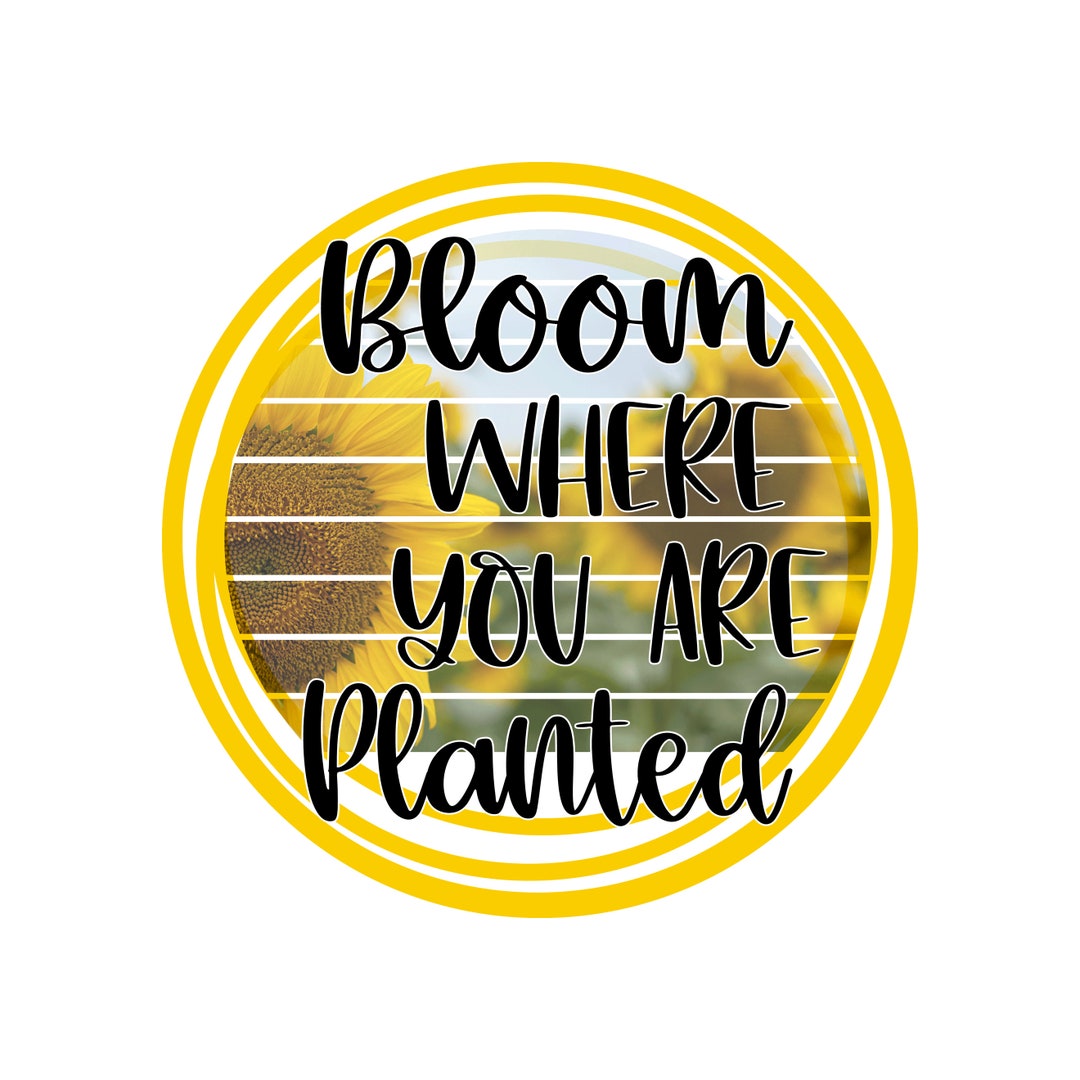 Bloom Where You Are Planted Sign, Sunflower Sign - Etsy