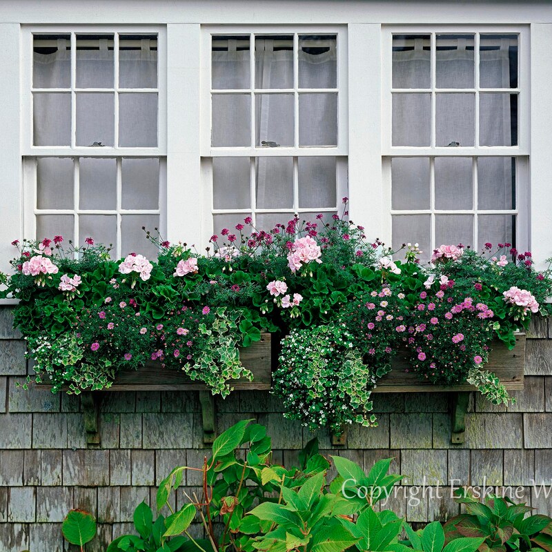 Window Box - Etsy