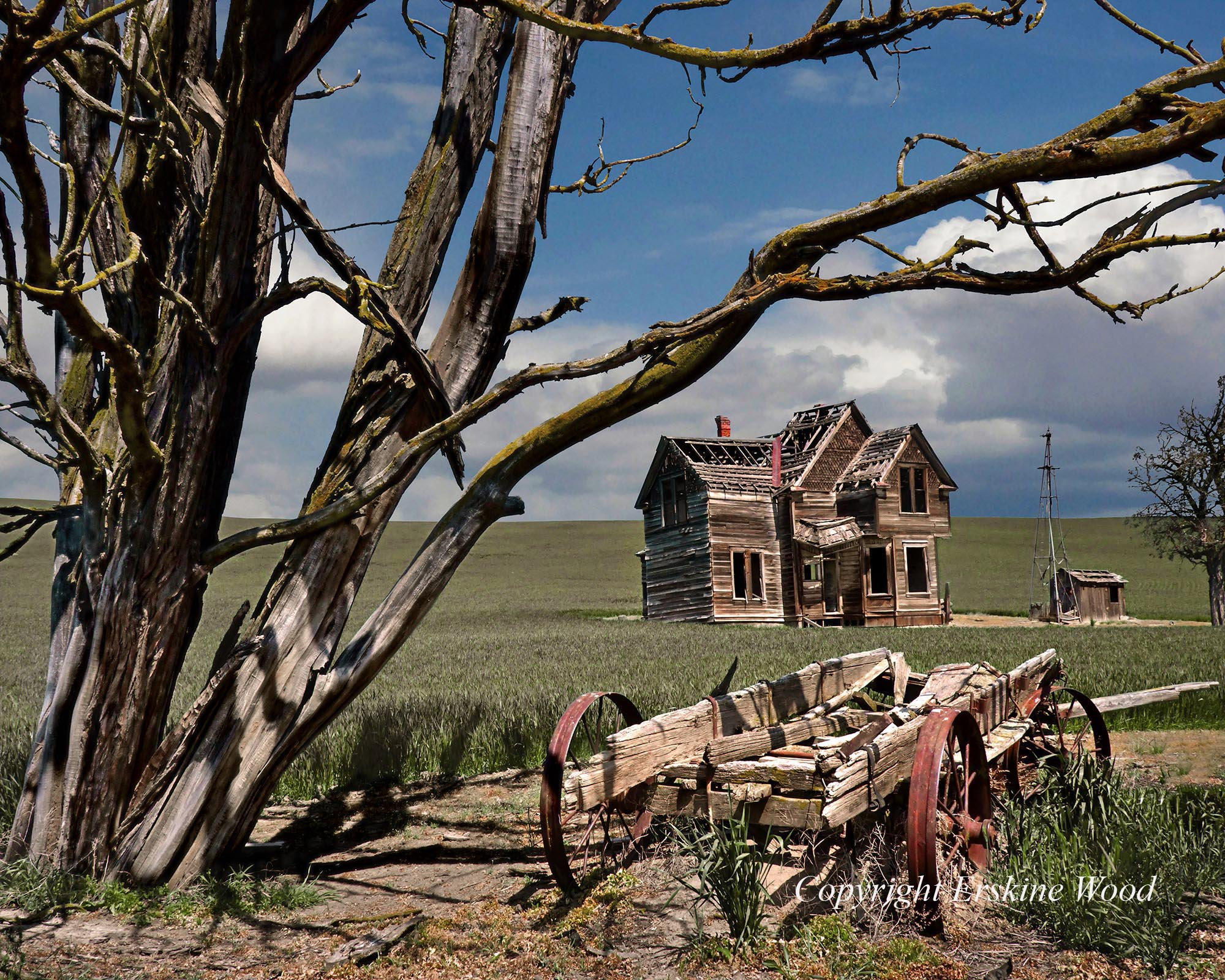 Nelson House, Oregon (H), Landscape/nature Photography - Etsy