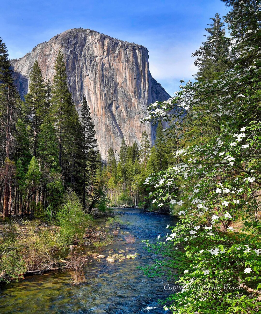 El Capitan, Merced River, Yosemite, California (V) - Etsy