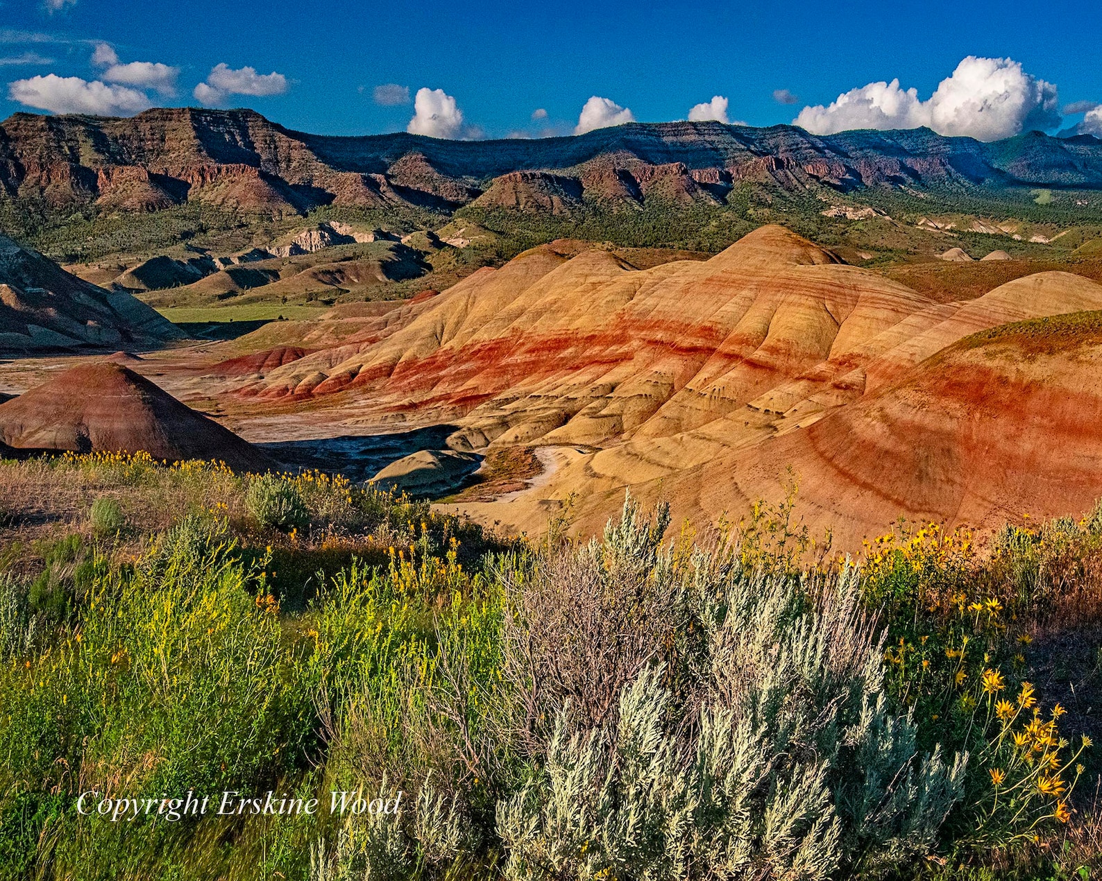 Painted Hills, Eastern Oregon (H), Landscape/nature Photography - Etsy