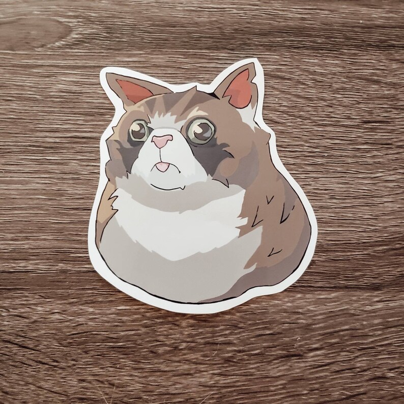 Valorant Cat glossy vinyl waterproof sticker Custom | Etsy