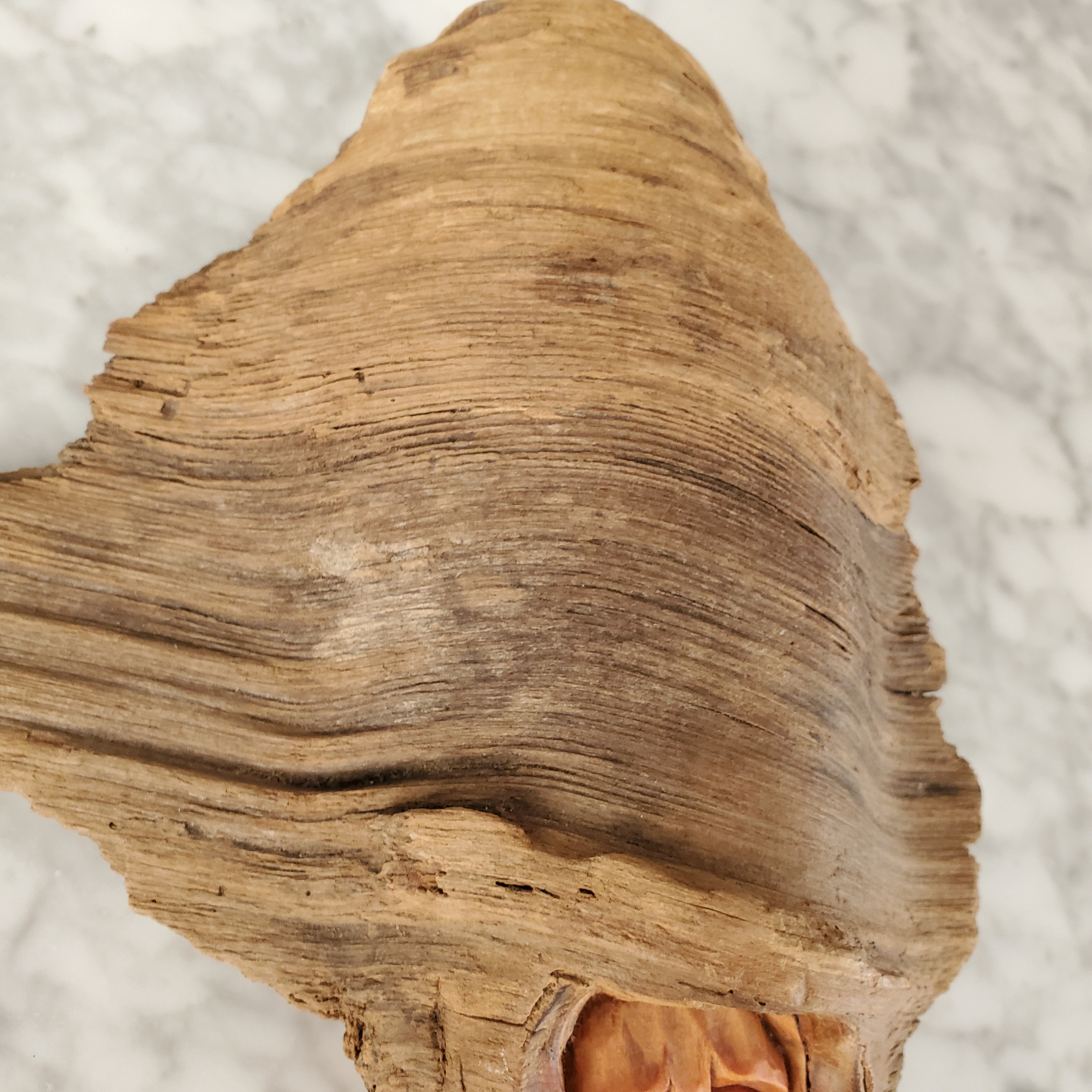 Vintage Wood Carving Old Man Face Winter Wind Sculpture Wood - Etsy