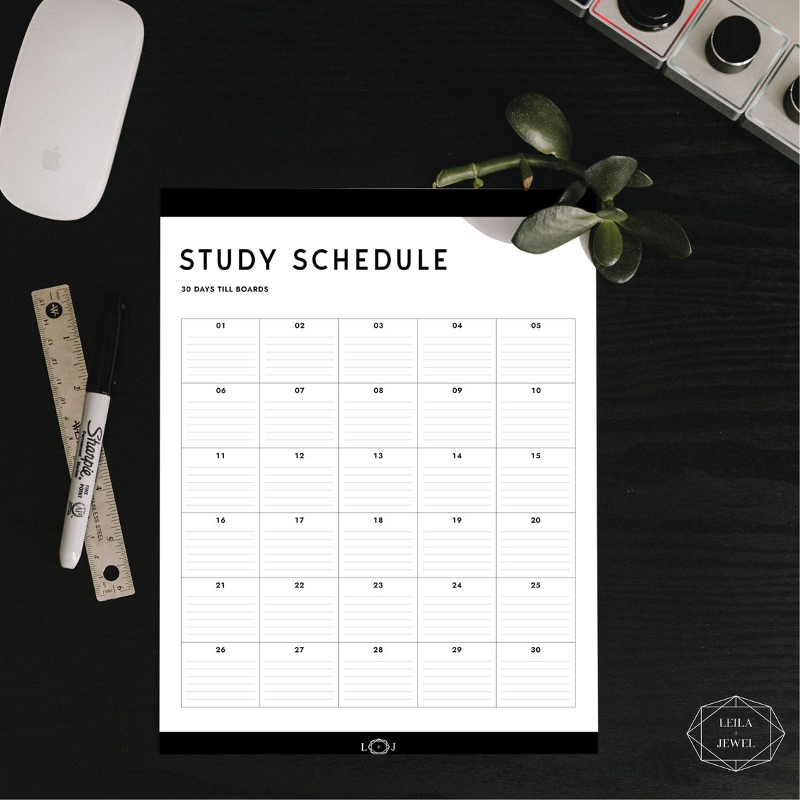 Printable Boards Study Schedule, Fillable PDF, Monthly Planner, Board ...