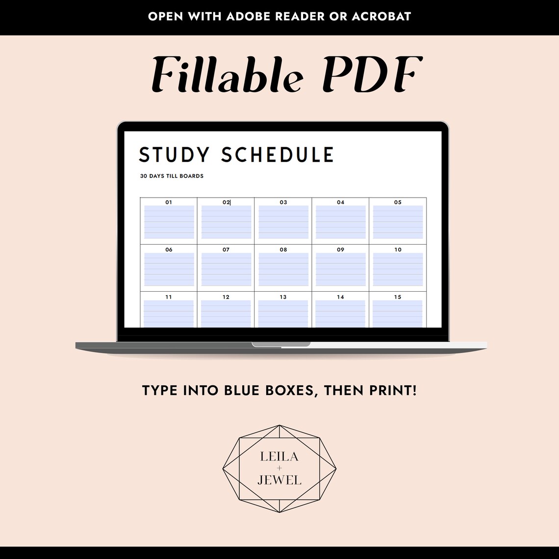 Printable Boards Study Schedule, Fillable PDF, Monthly Planner, Board ...