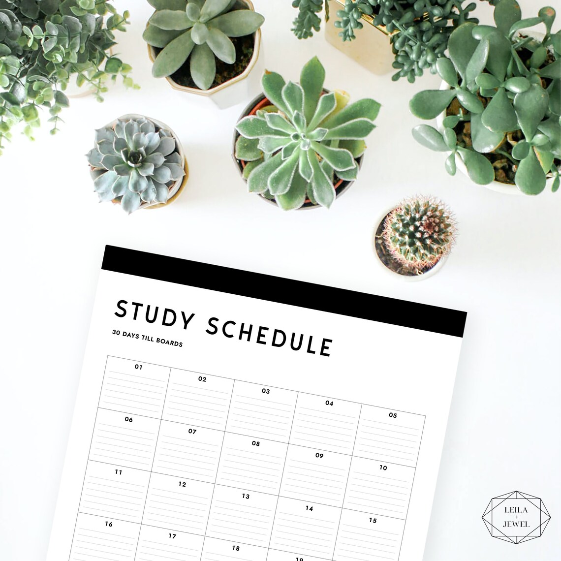 Printable Boards Study Schedule, Fillable PDF, Monthly Planner, Board ...