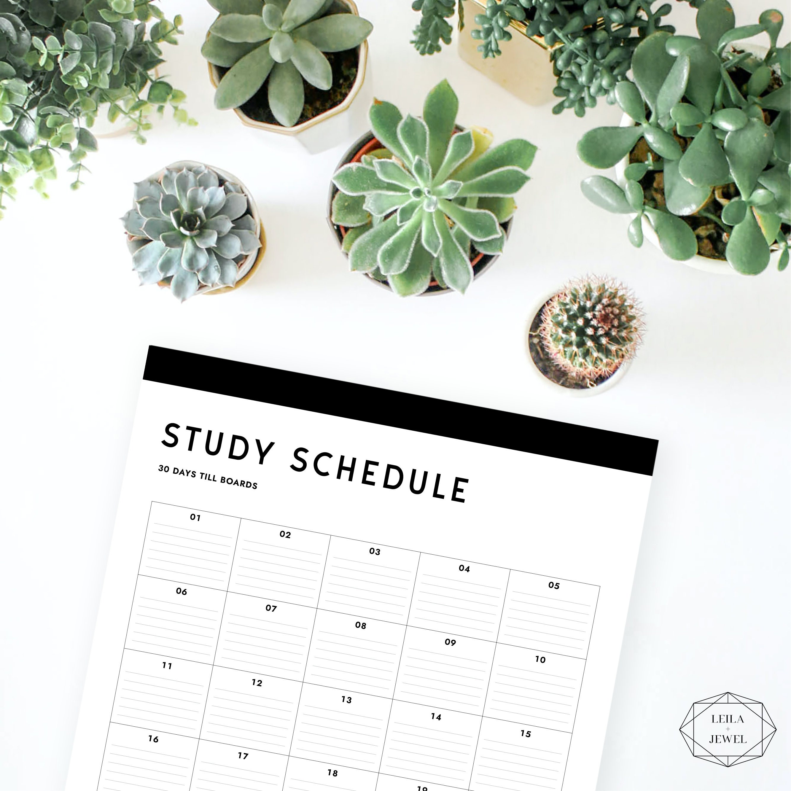 Printable Boards Study Schedule, Fillable PDF, Monthly Planner, Board ...