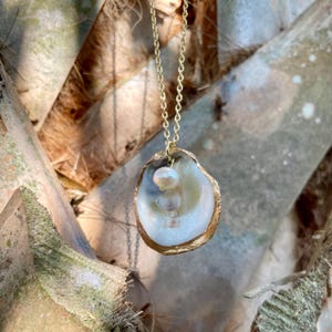 Oyster Shell Chain Necklace With Natural Pearl - Etsy