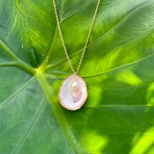 Oyster Shell Chain Necklace With Natural Pearl - Etsy